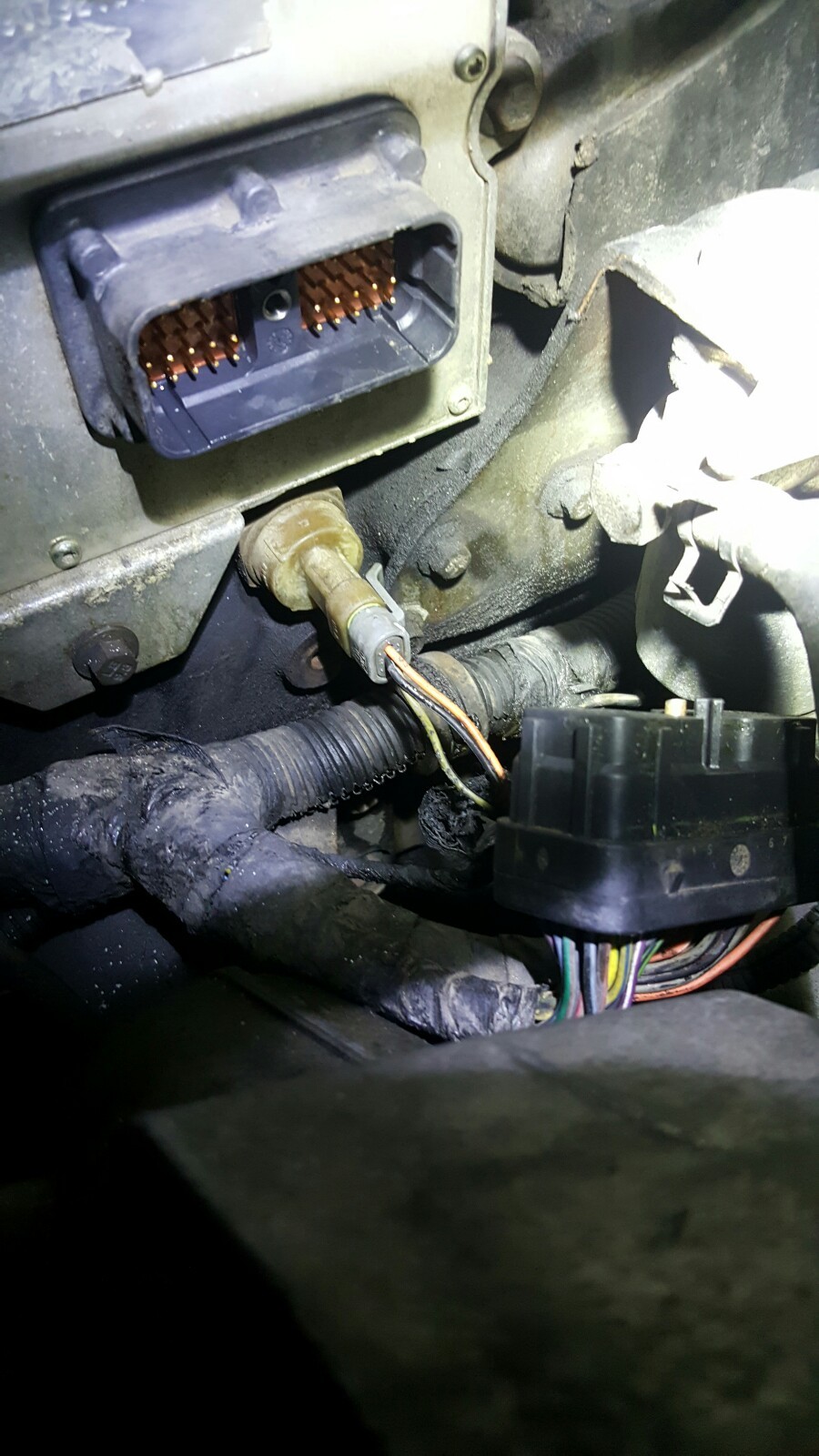 Remanufactured Ecm Control Module Dodge Ram 200 0 Cummins .l . 2000 200 ...