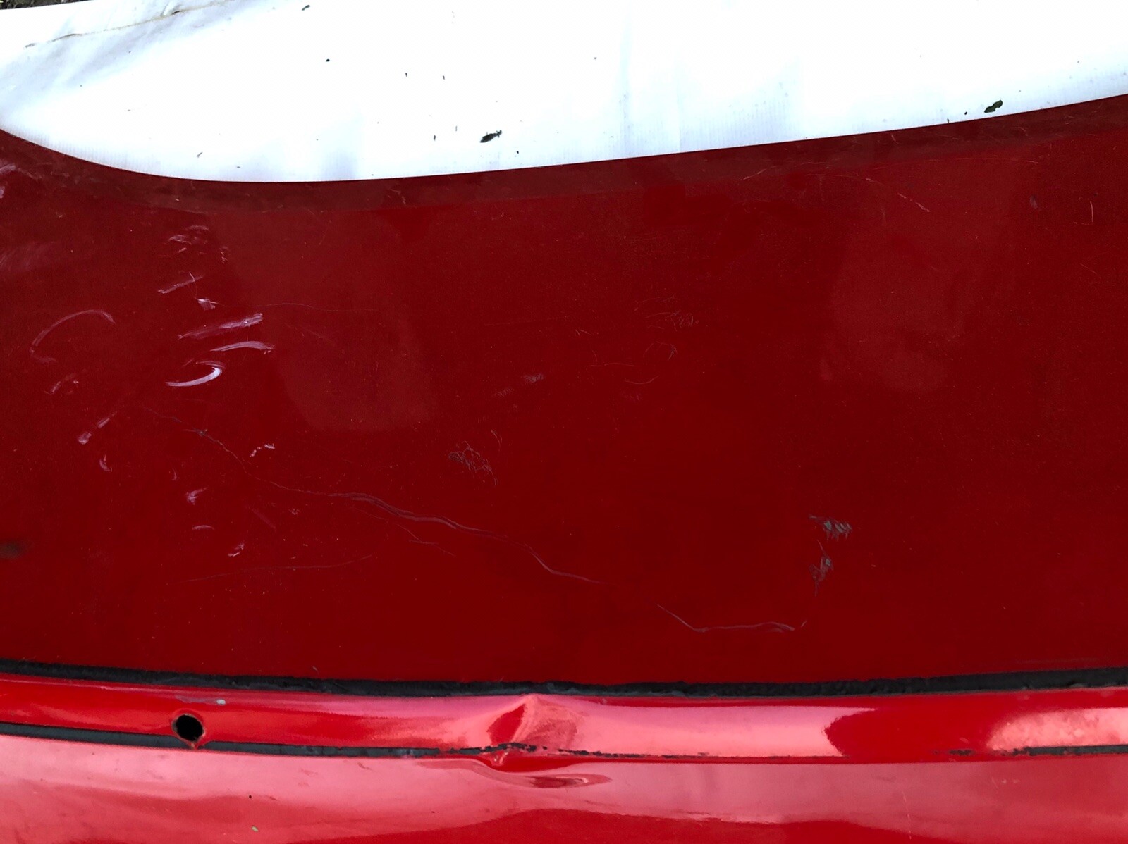 Used 2009-2016 Hyundai Genesis Coupe Trunk Lid for Sale