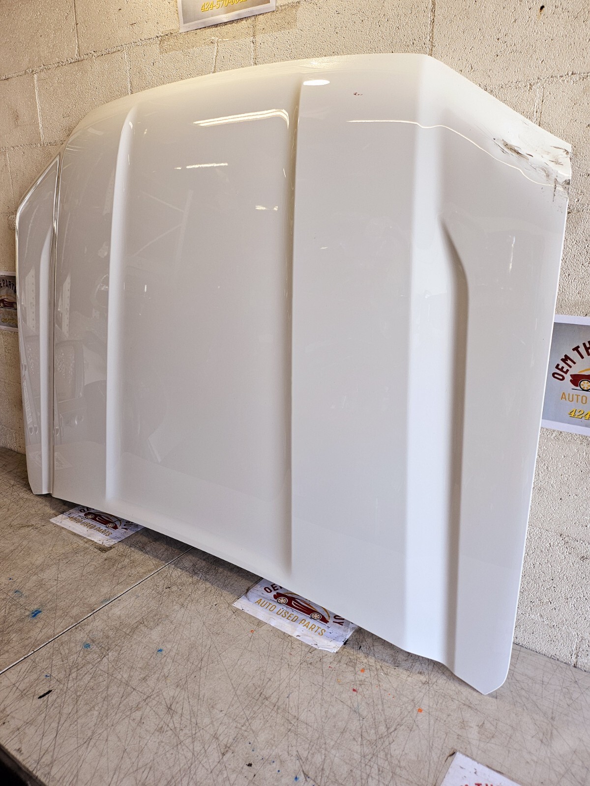 Used 2024 2024 Ford Ranger Hood Bonnet Shell Panel Cover Oem for Sale ...